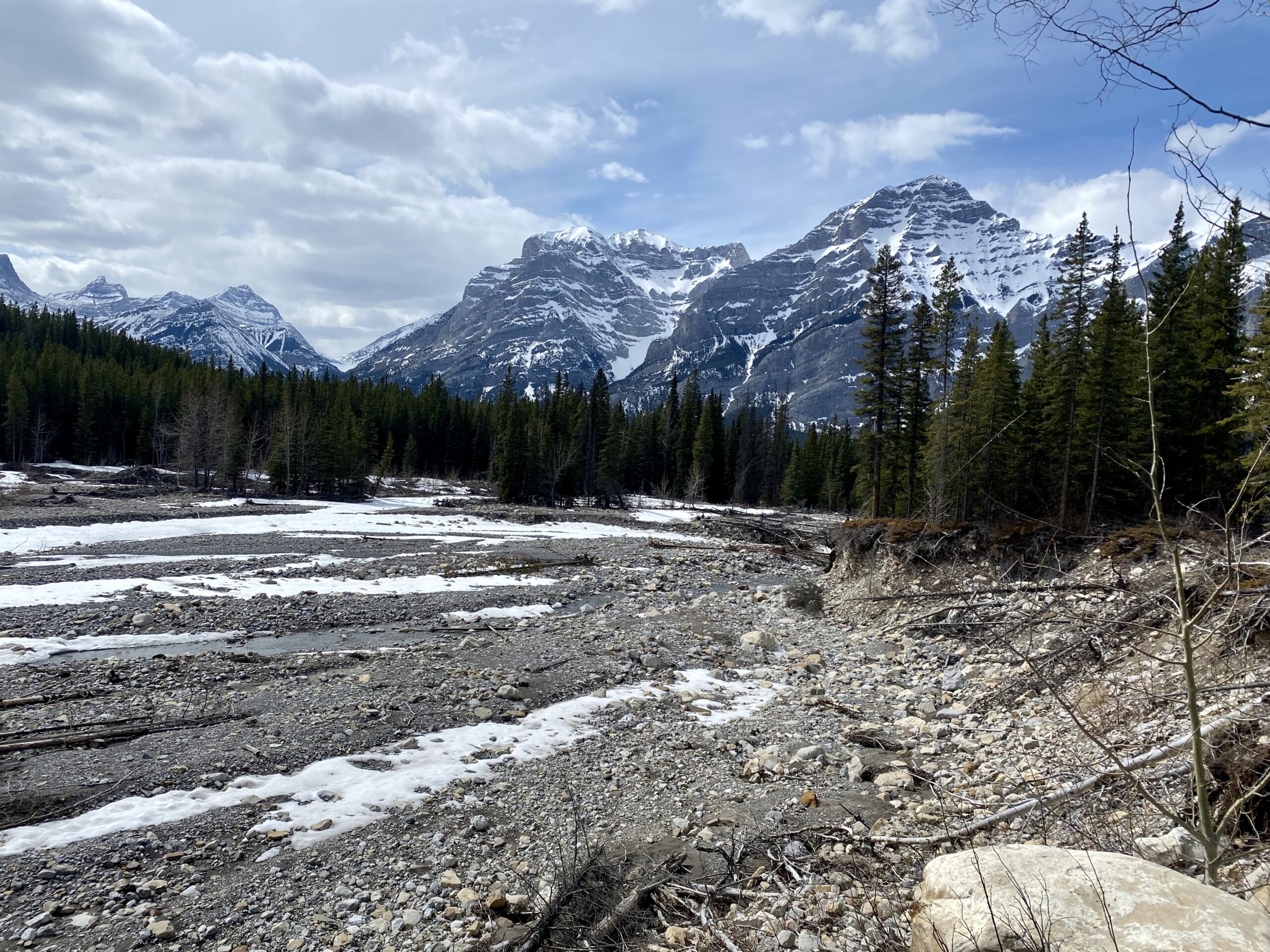 6 Stunning Spring Hikes to Try Near Calgary