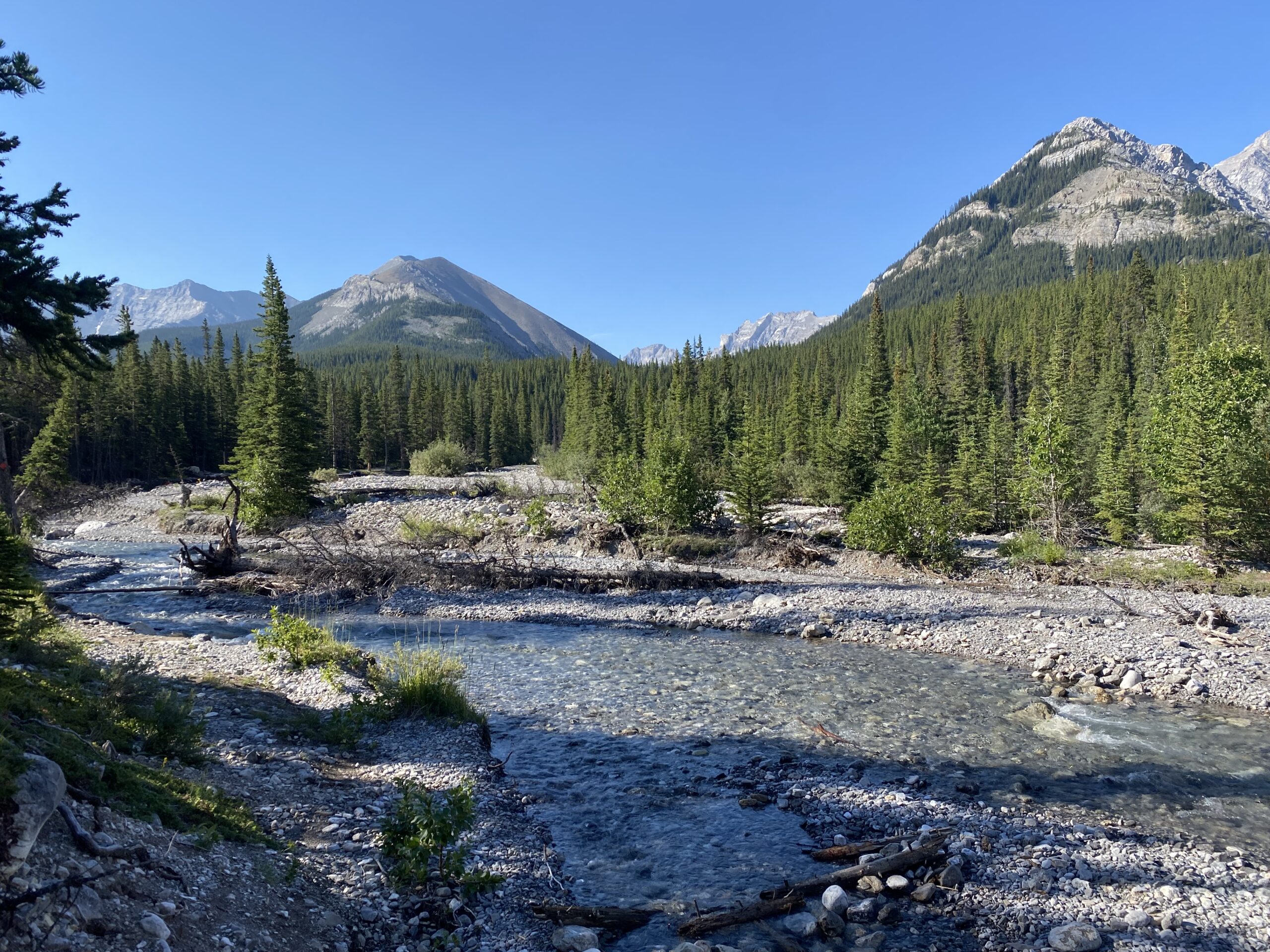 A Beginner’s Backcountry Camping Trip to Mount Romulus