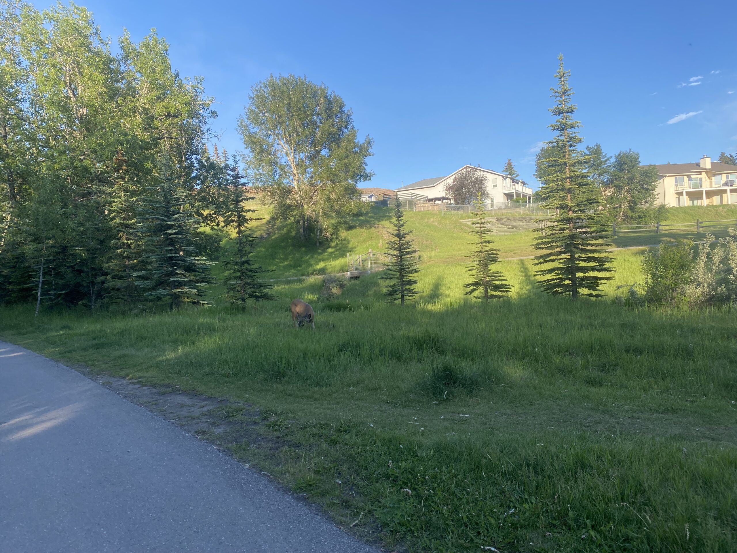 Unique Places to Visit in Cochrane, Alberta