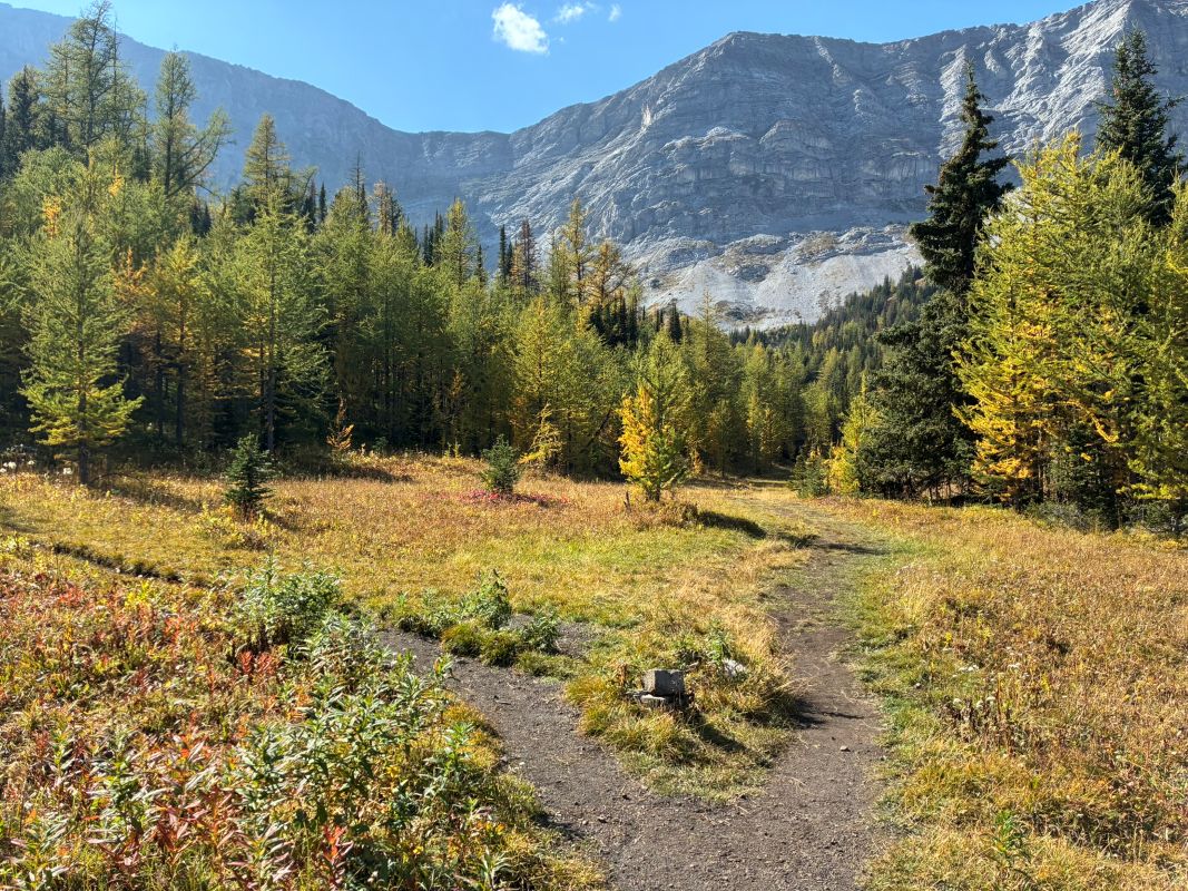 8 Fall Hikes Near Calgary You Need to Try